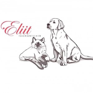 Eliit Loomakliiniku rahulolu uuring! - Connect.ee